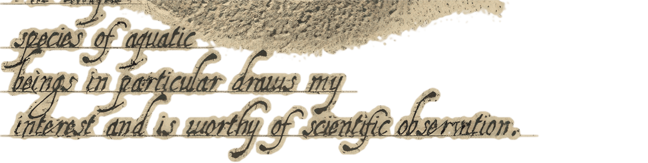 The Riven Journals, Journal Two, Page 1